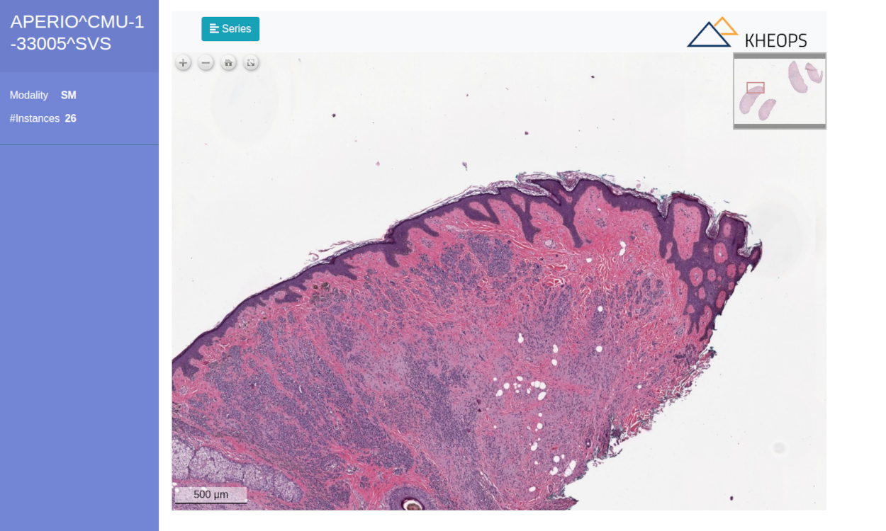 Composantes – PARADIM